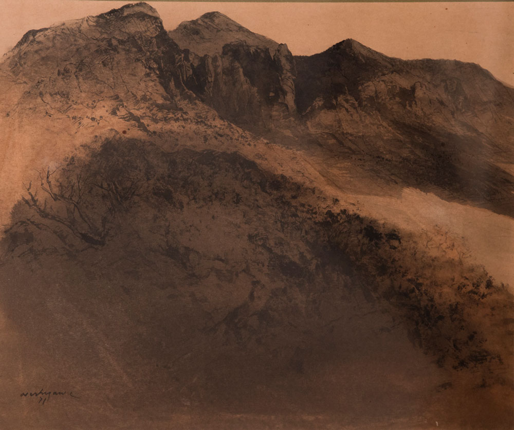 Luis Nishizawa - Galerías Castillo